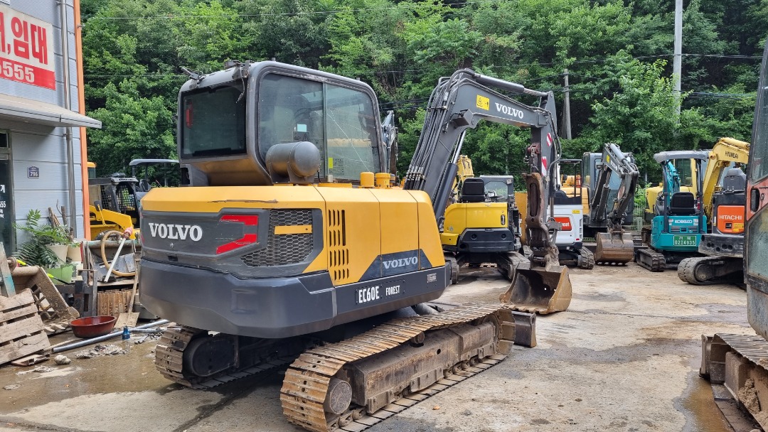 볼보 02급 EC60E 2016년 코끼리 집게, 회전라인 매매|전문가들