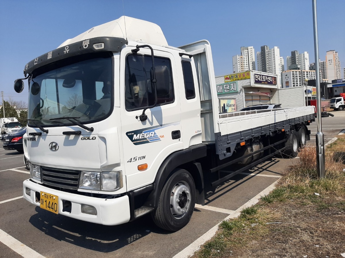 현대 메가트럭 카고(화물)트럭 4.5톤 GOLD|전문가들
