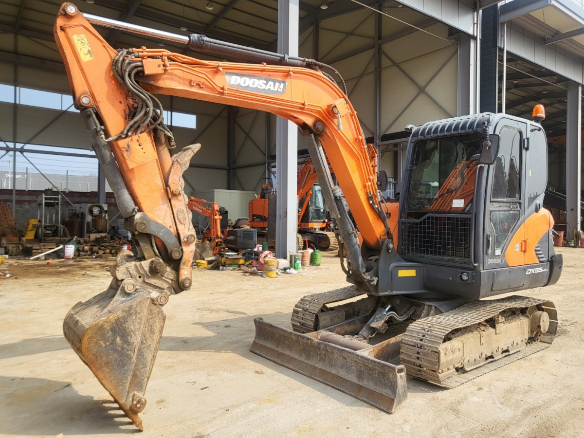 DX55MT5|전문가들